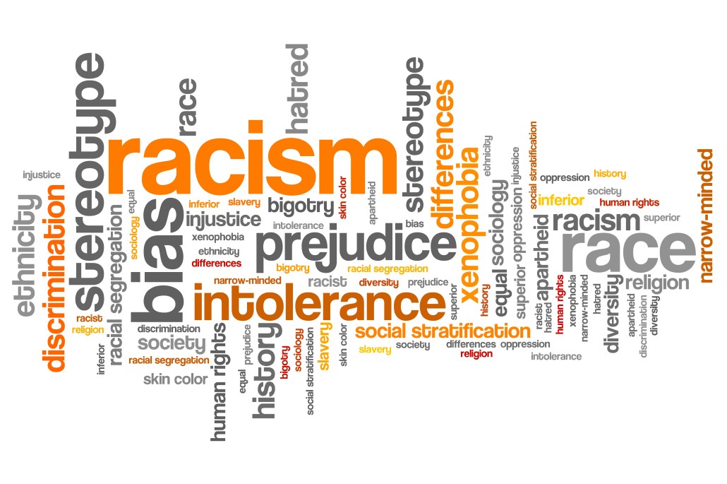 Racist Algorithms or Systemic Problems? Risk Assessments and Racial ...